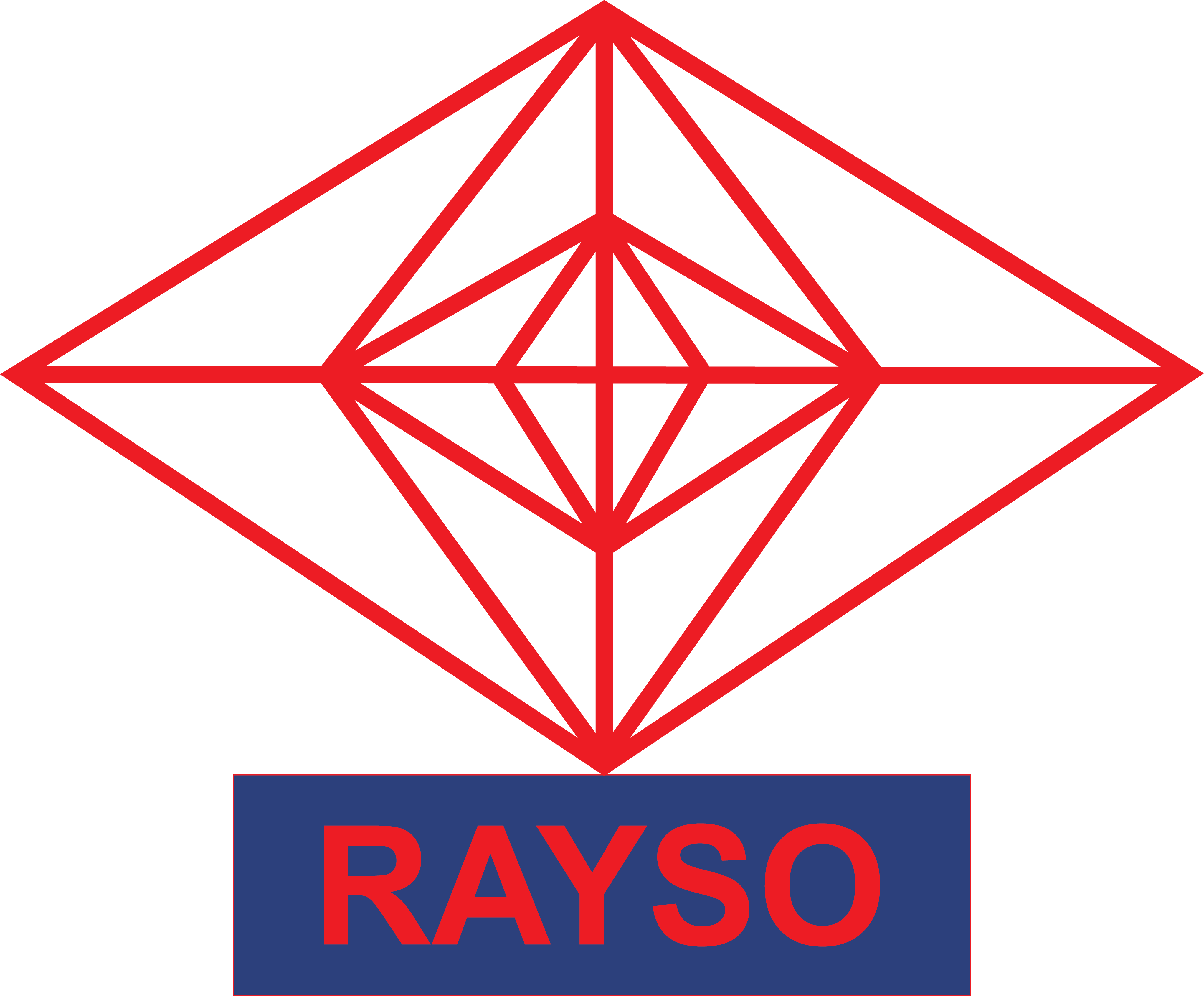 Raysoft Technologies